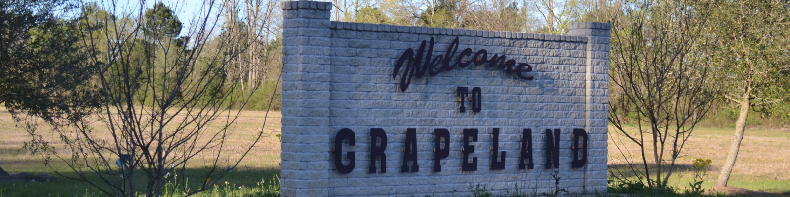 Contact Form – Grapeland Area Chamber Of Commerce